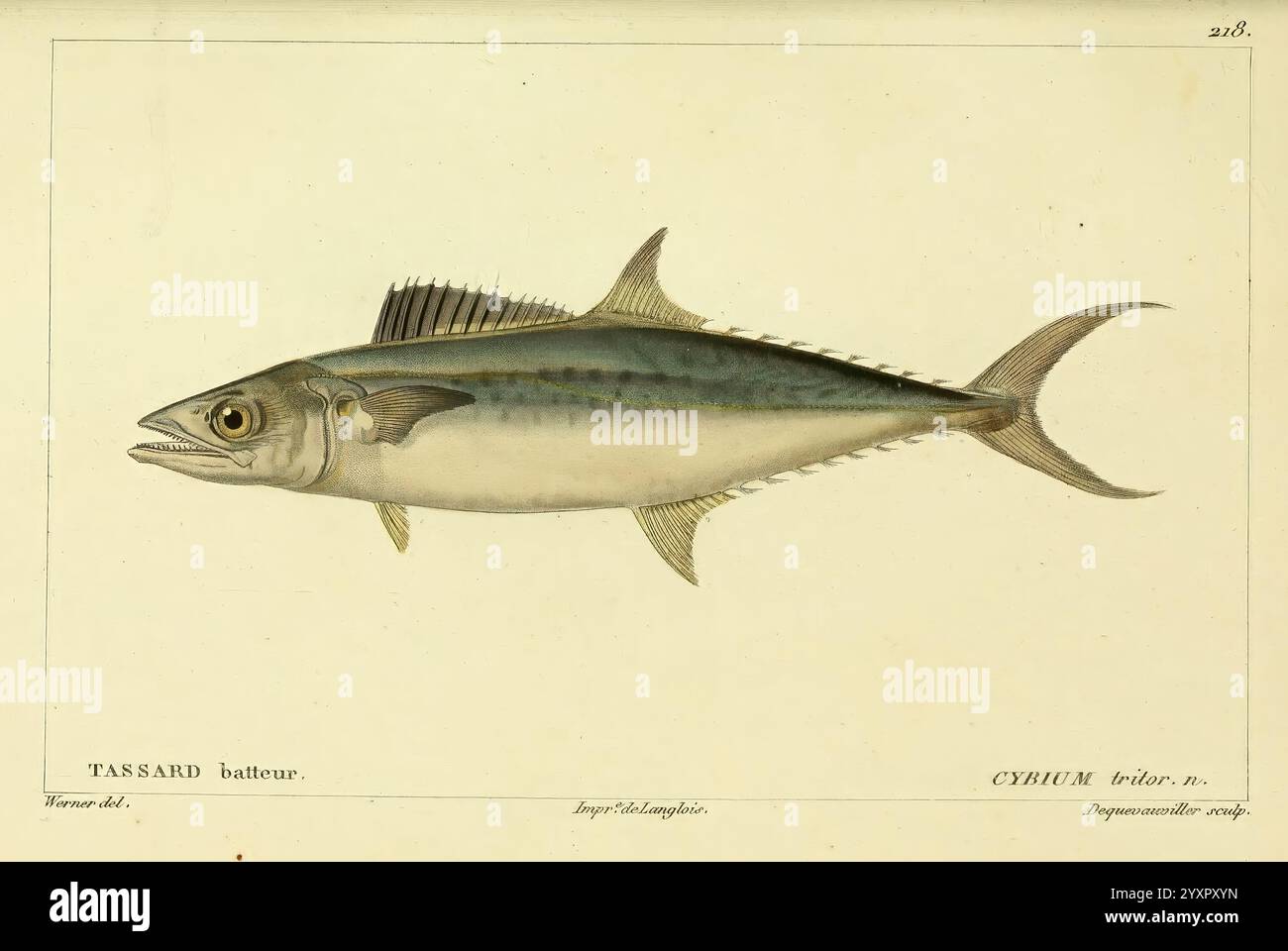 Shading conveys hi-res stock photography and images - Alamy