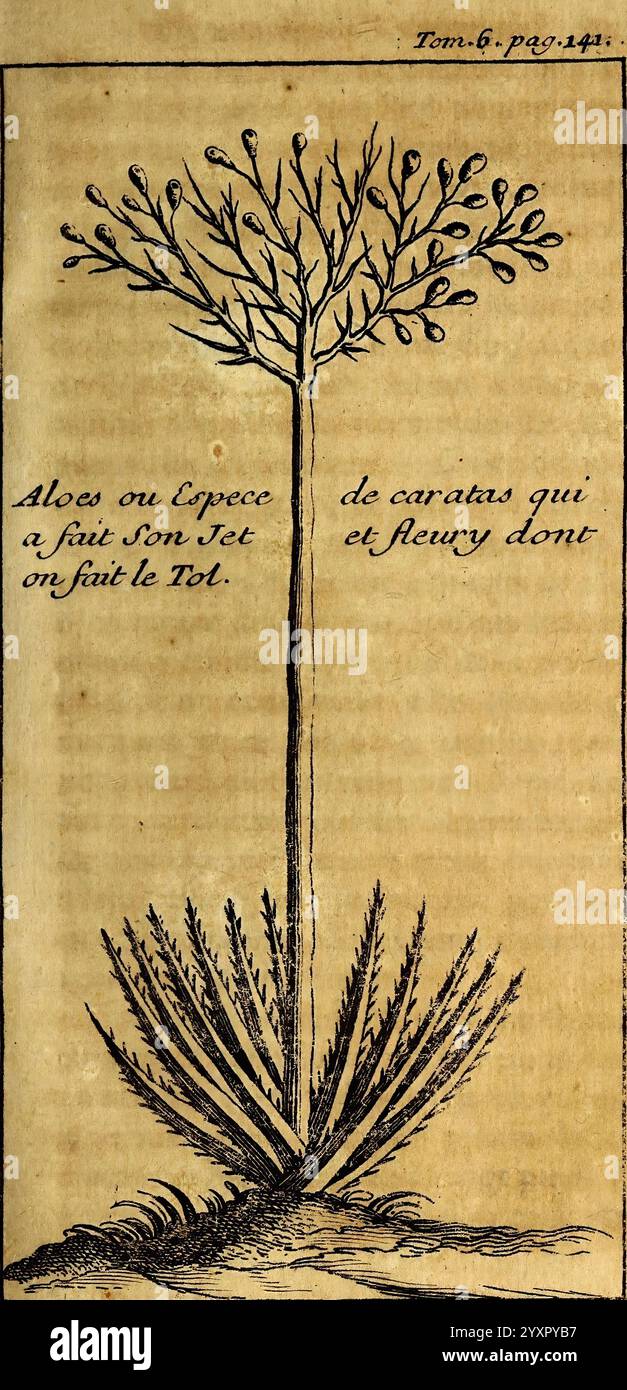 Chez theodore le gras hi-res stock photography and images - Alamy