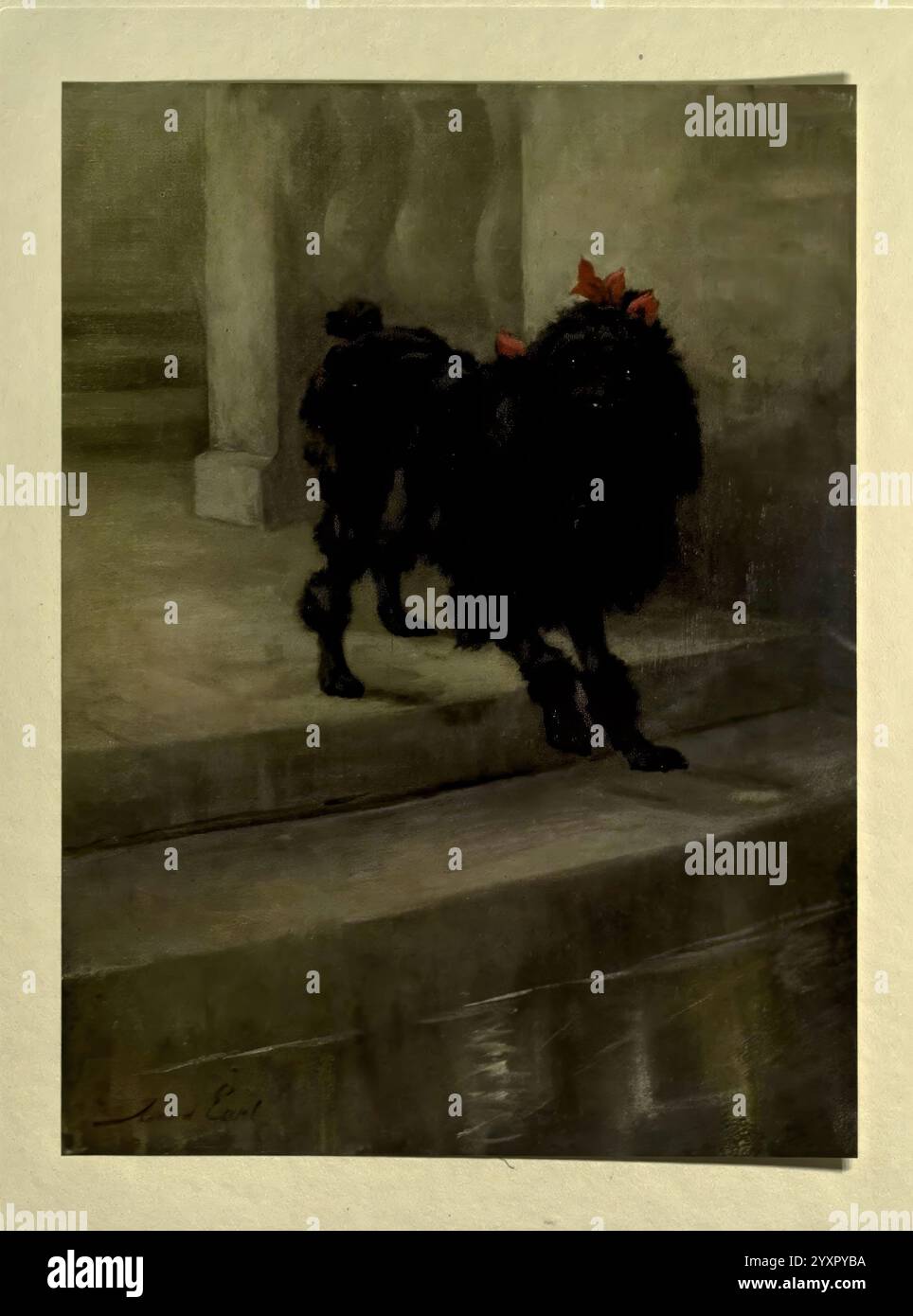 Dark canine stands poised hi-res stock photography and images - Alamy