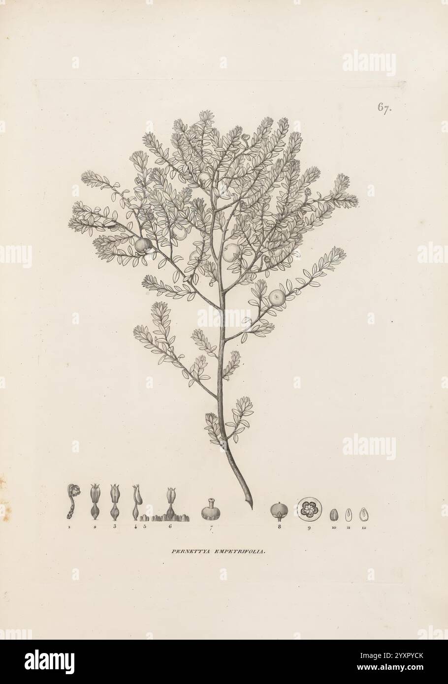 Voyage, autour, du, monde, Paris, Chez, Pillet, AiÌ‚neÌ, 1824?-1844, A ...