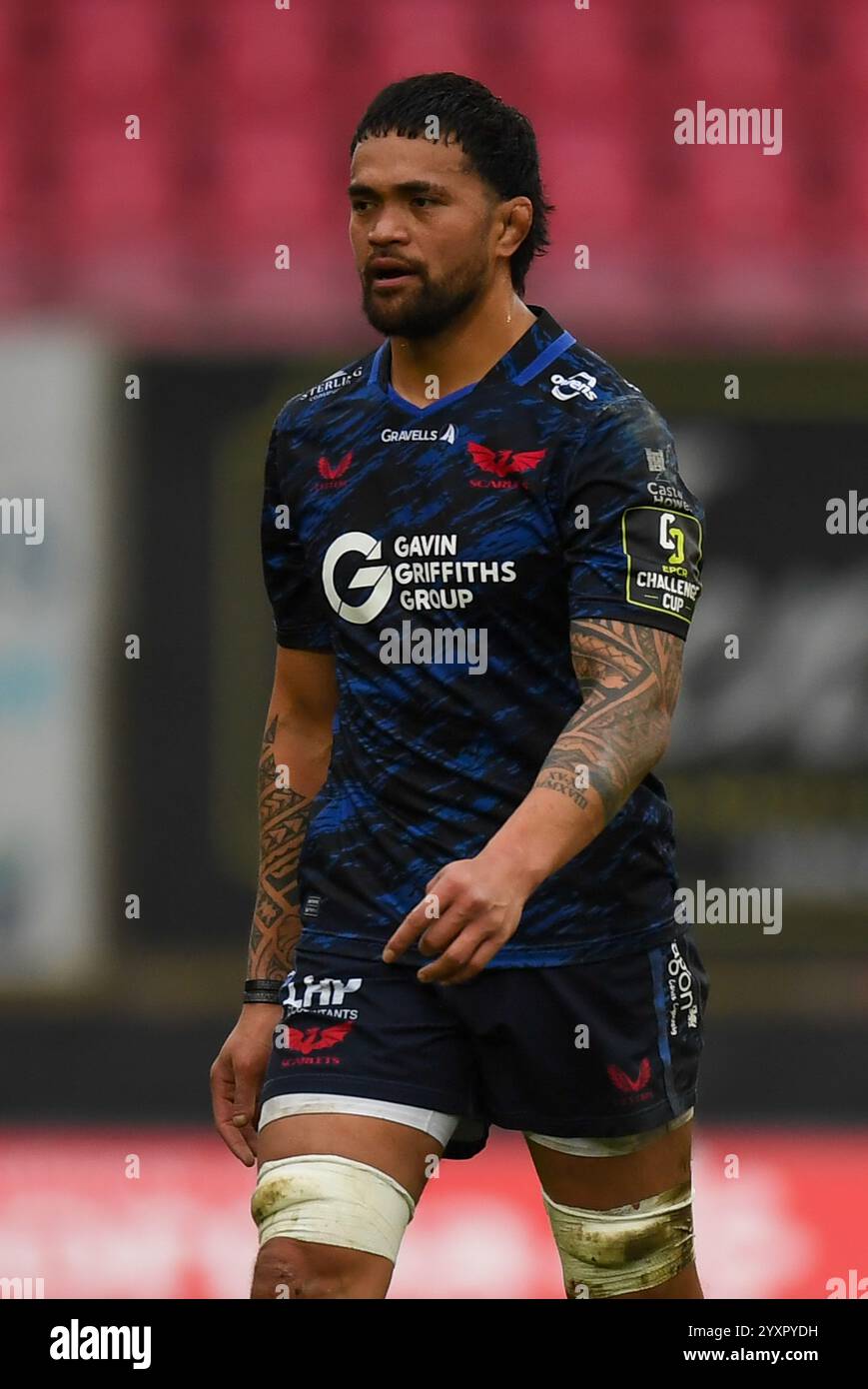 European Challenge Cup Scarlets v Black Lion Parc y Scarlets 15th ...