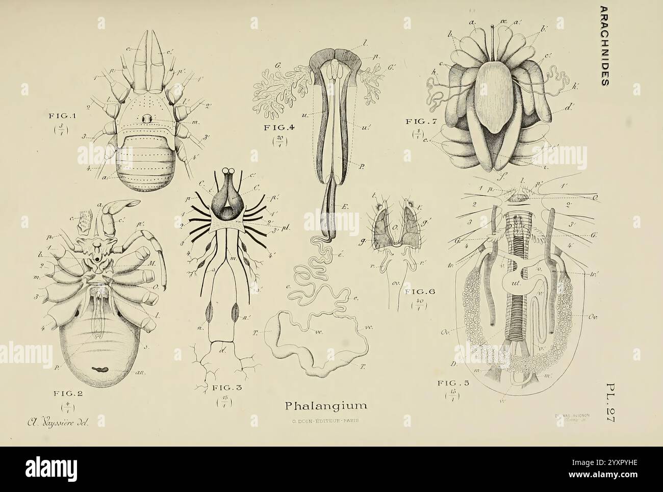 Labeled diagrams enhance hi-res stock photography and images - Alamy