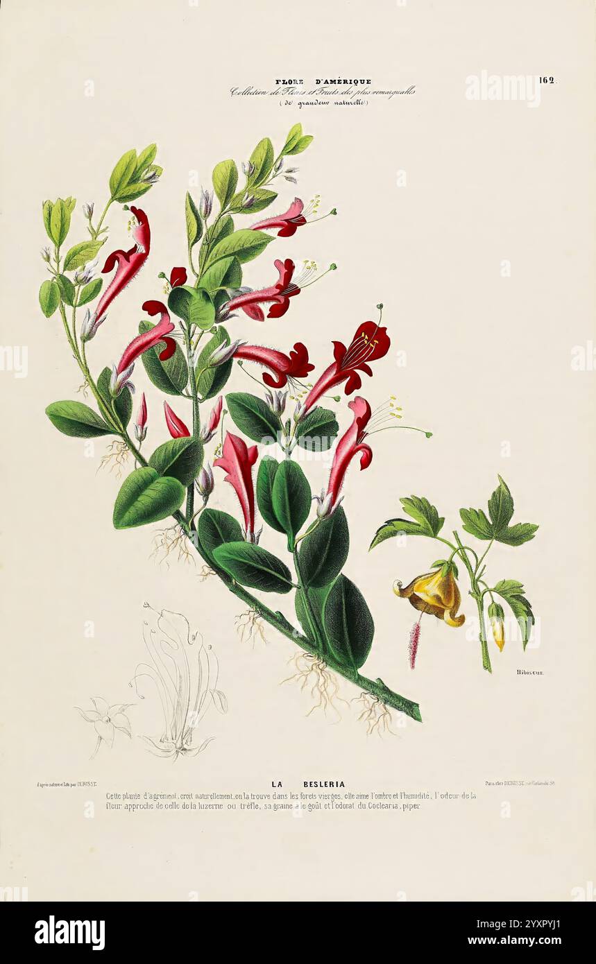 Detailed annotations label parts hi-res stock photography and images ...