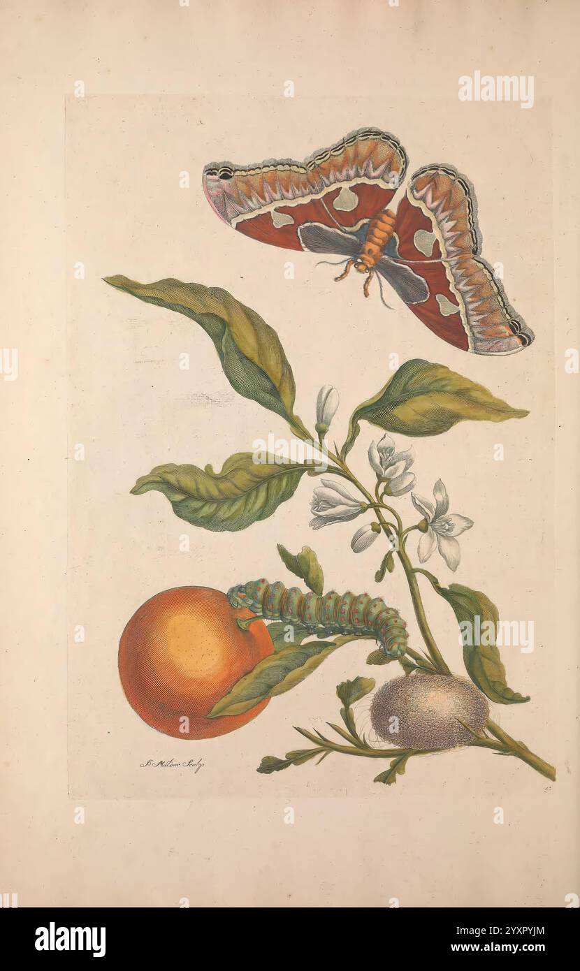 Caterpillar displays hi-res stock photography and images - Alamy