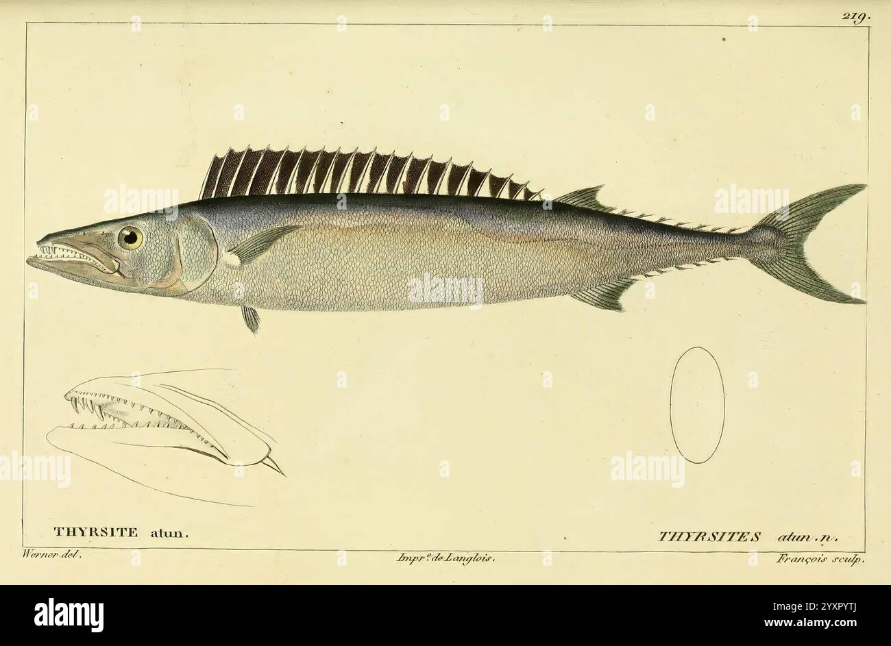 Streamlined points hi-res stock photography and images - Alamy