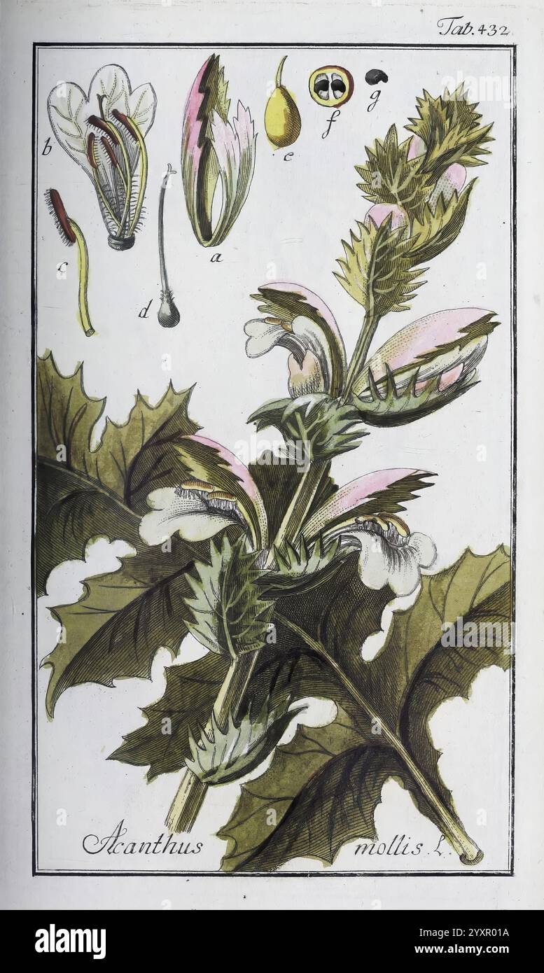 Detailed sketches highlight various parts hi-res stock photography and ...