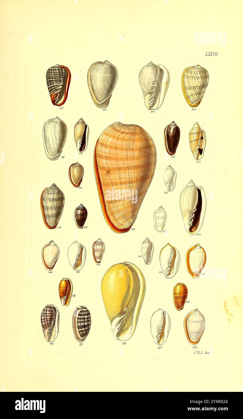 Fascinating natural artifacts hi-res stock photography and images - Alamy