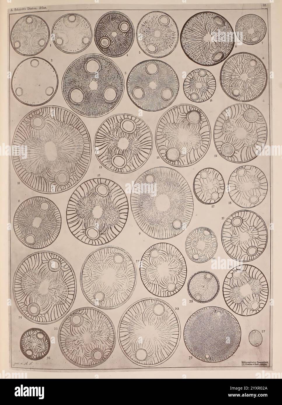 Additional smaller circular forms hi-res stock photography and images ...