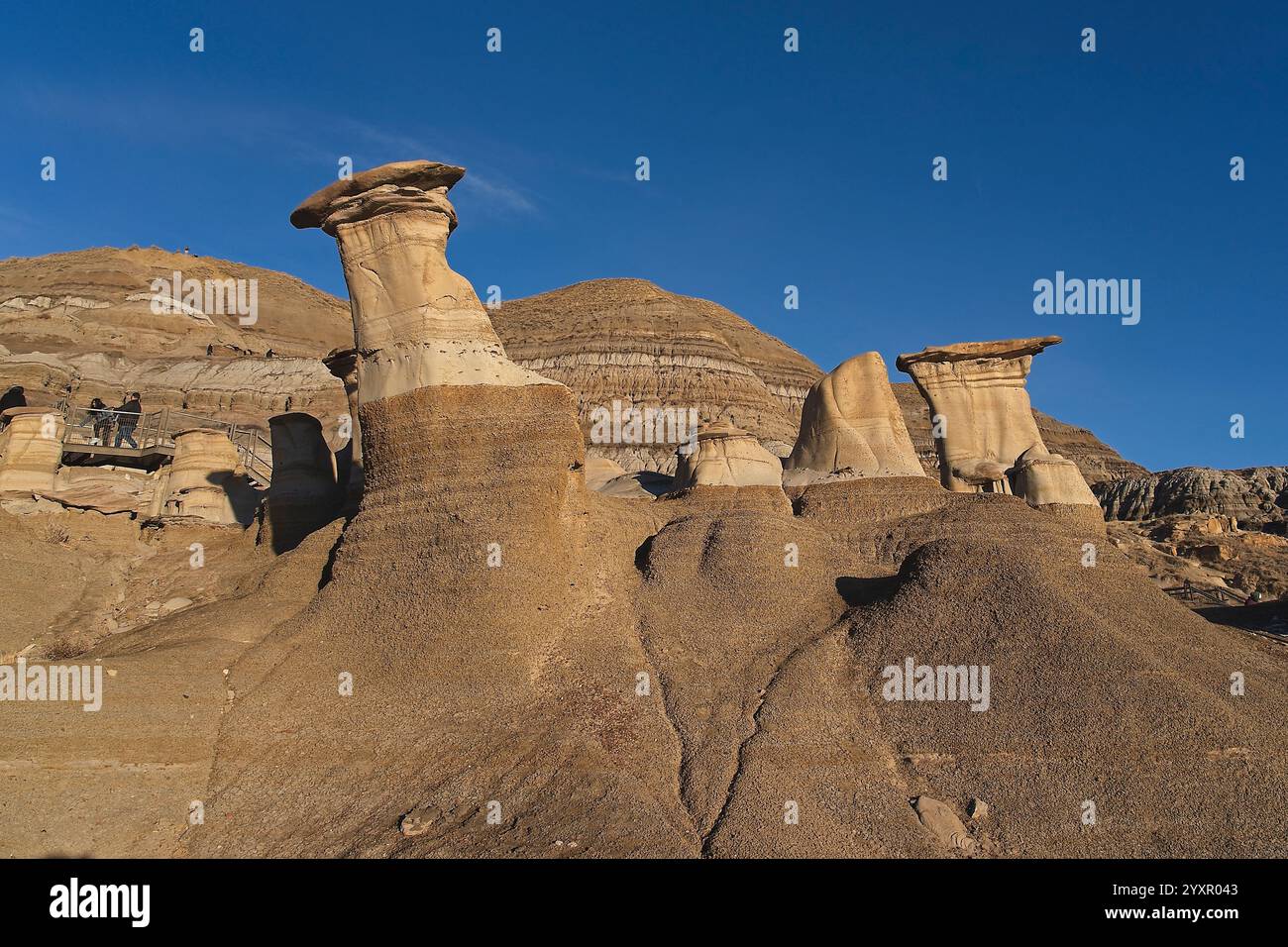 Willow Creek Hoodoos near Drumheller in Alberta Canada Stock Photo - Alamy