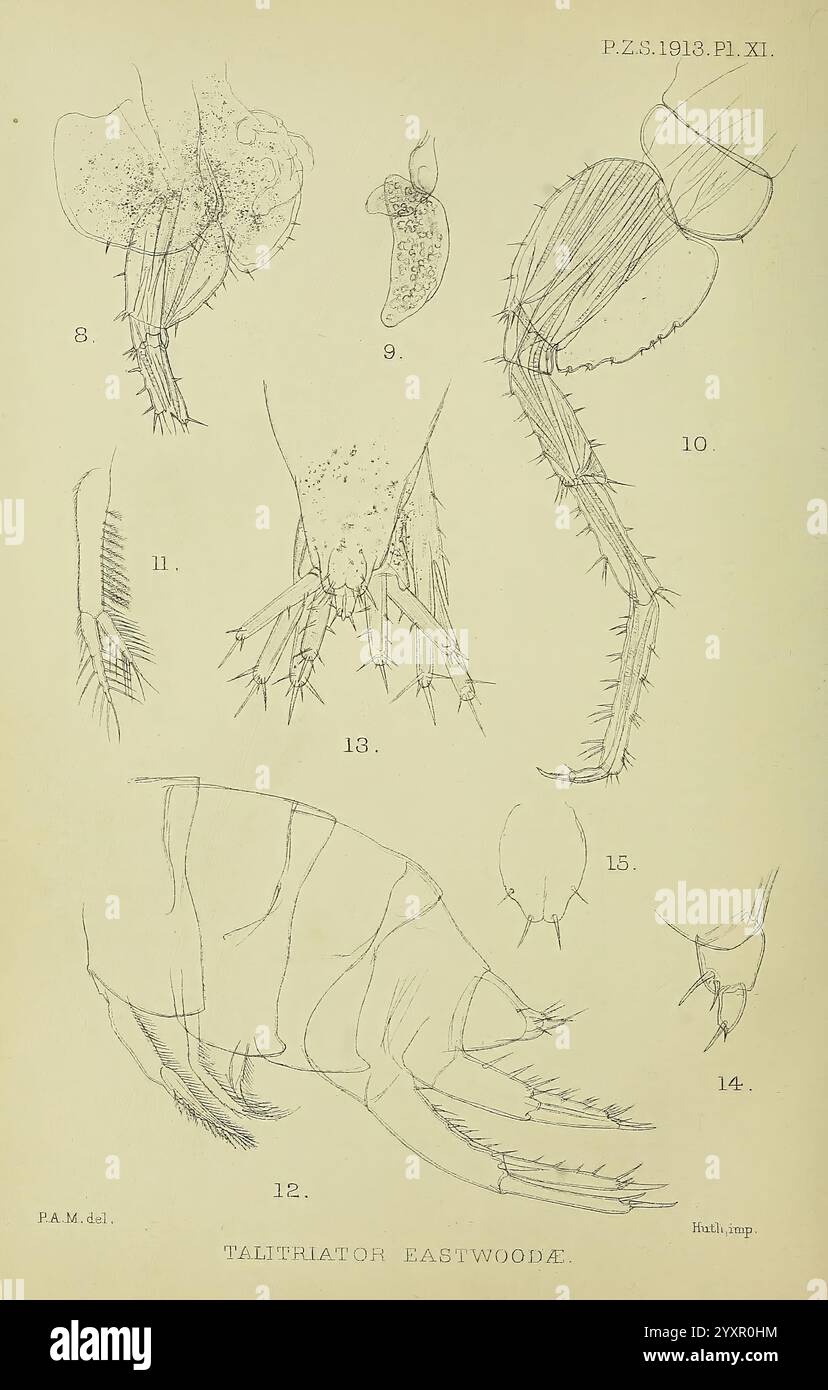 Proceedings of the Zoological Society of London, London, Academic Press ...