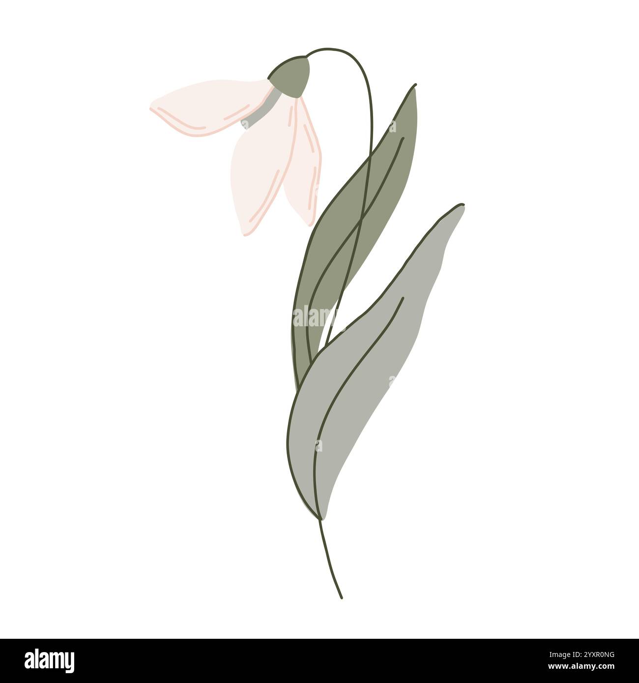 Elegant flat hand drawn botanical illustration with delicate vector ...
