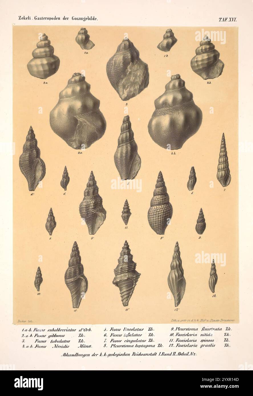 Reference specific types hi-res stock photography and images - Alamy