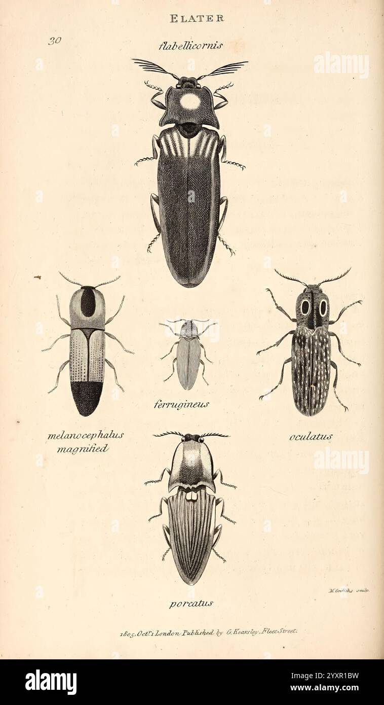 1800 1826 pictorial works hi-res stock photography and images - Alamy