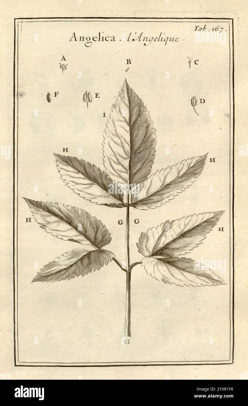 Presentation merges art hi-res stock photography and images - Alamy