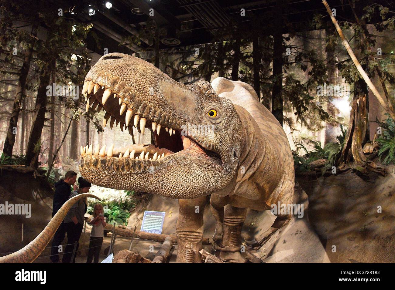Drumheller Canada - 30 December 2023 - Dinosaur fossils in the Royal ...