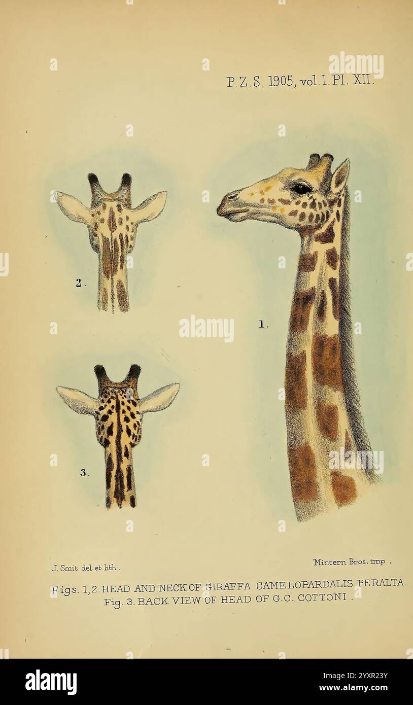 Proceedings of the Zoological Society of London, London, Academic Press ...