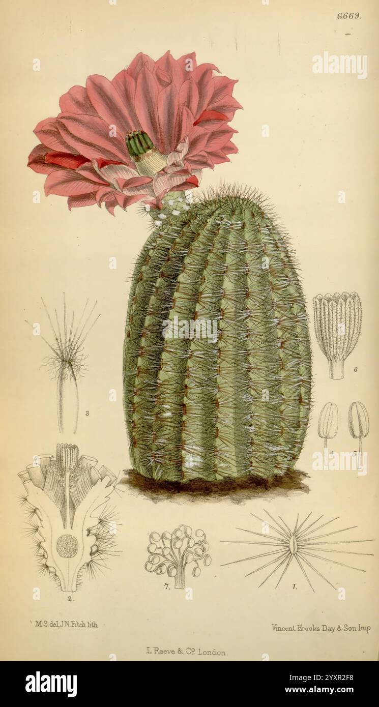 Smaller diagrams depicting hi-res stock photography and images - Alamy