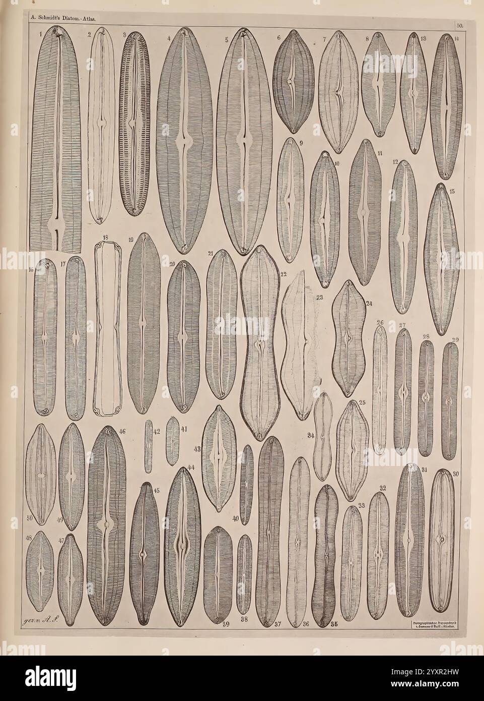 Showcasing various contours hi-res stock photography and images - Alamy