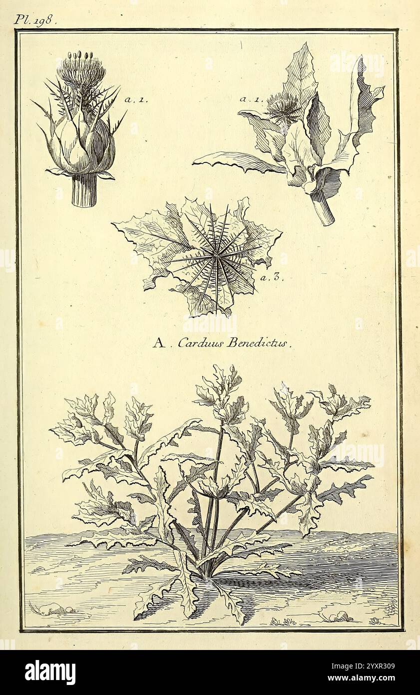 Les figures des plantes et animaux d'usage en medecine, Paris, Desprez ...