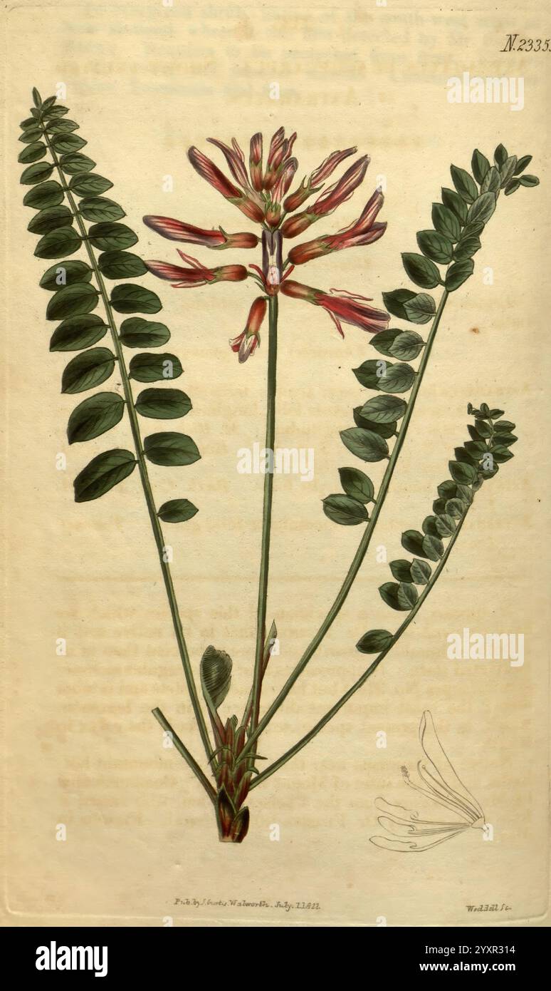 Faint textual annotations hi-res stock photography and images - Alamy