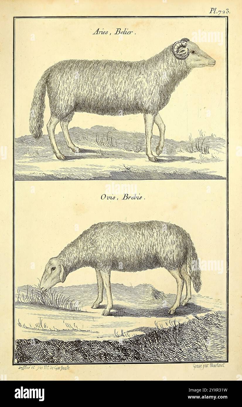 Les figures des plantes et animaux d'usage en medicine, Paris, Desprez ...