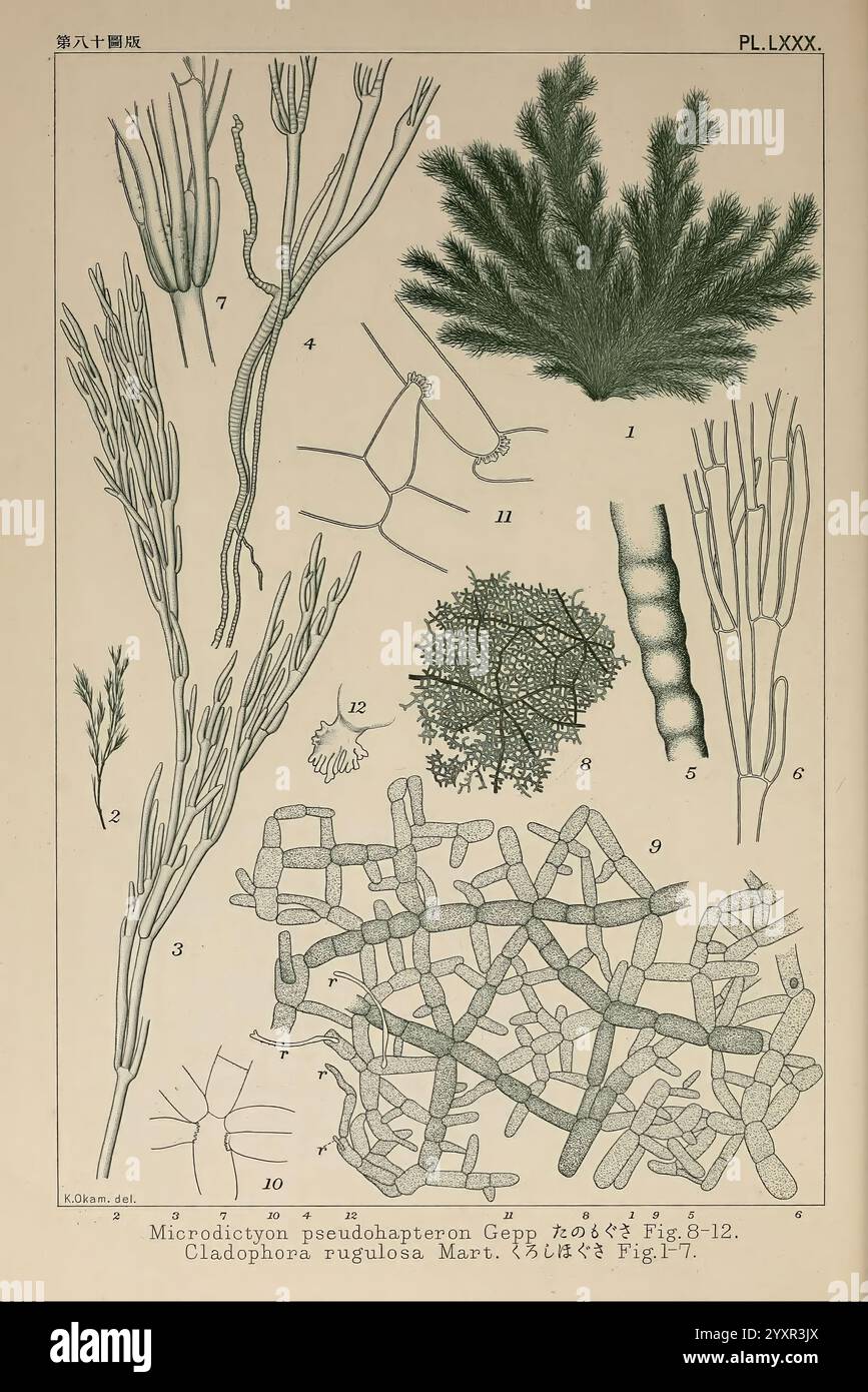 Layout highlights individual components hi-res stock photography and ...