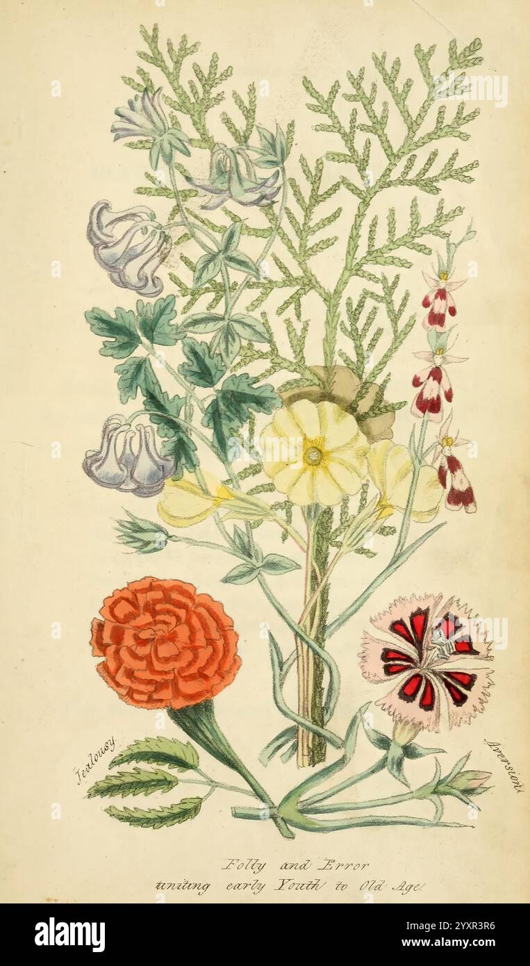 Emblems allegorical pictures emblems hi-res stock photography and ...