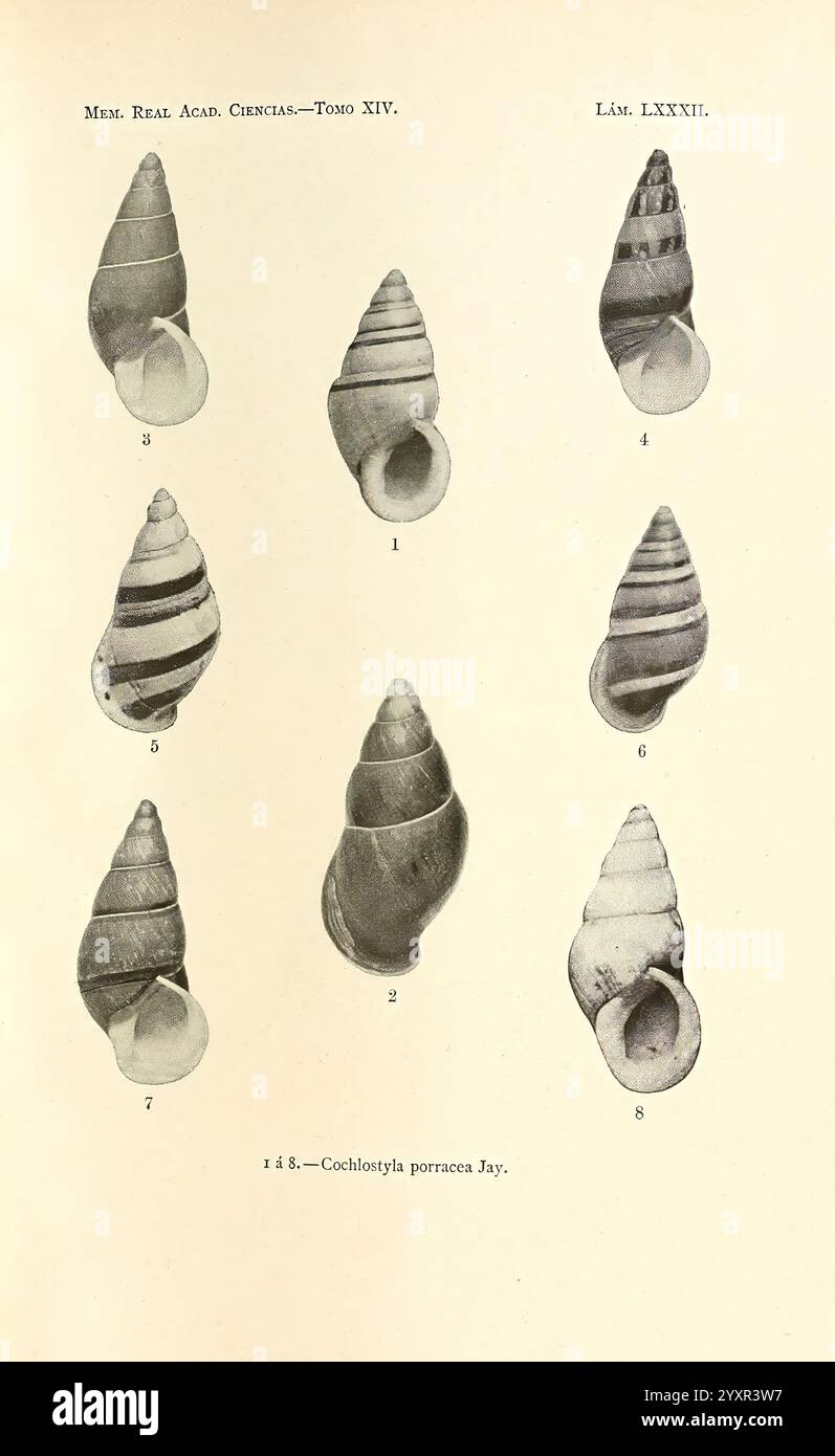 Memorias de la Real Academia de Ciencias Exactas, Fisicas y Naturales ...