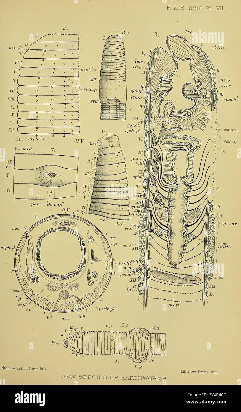 Includes detailed diagrams hi-res stock photography and images - Alamy