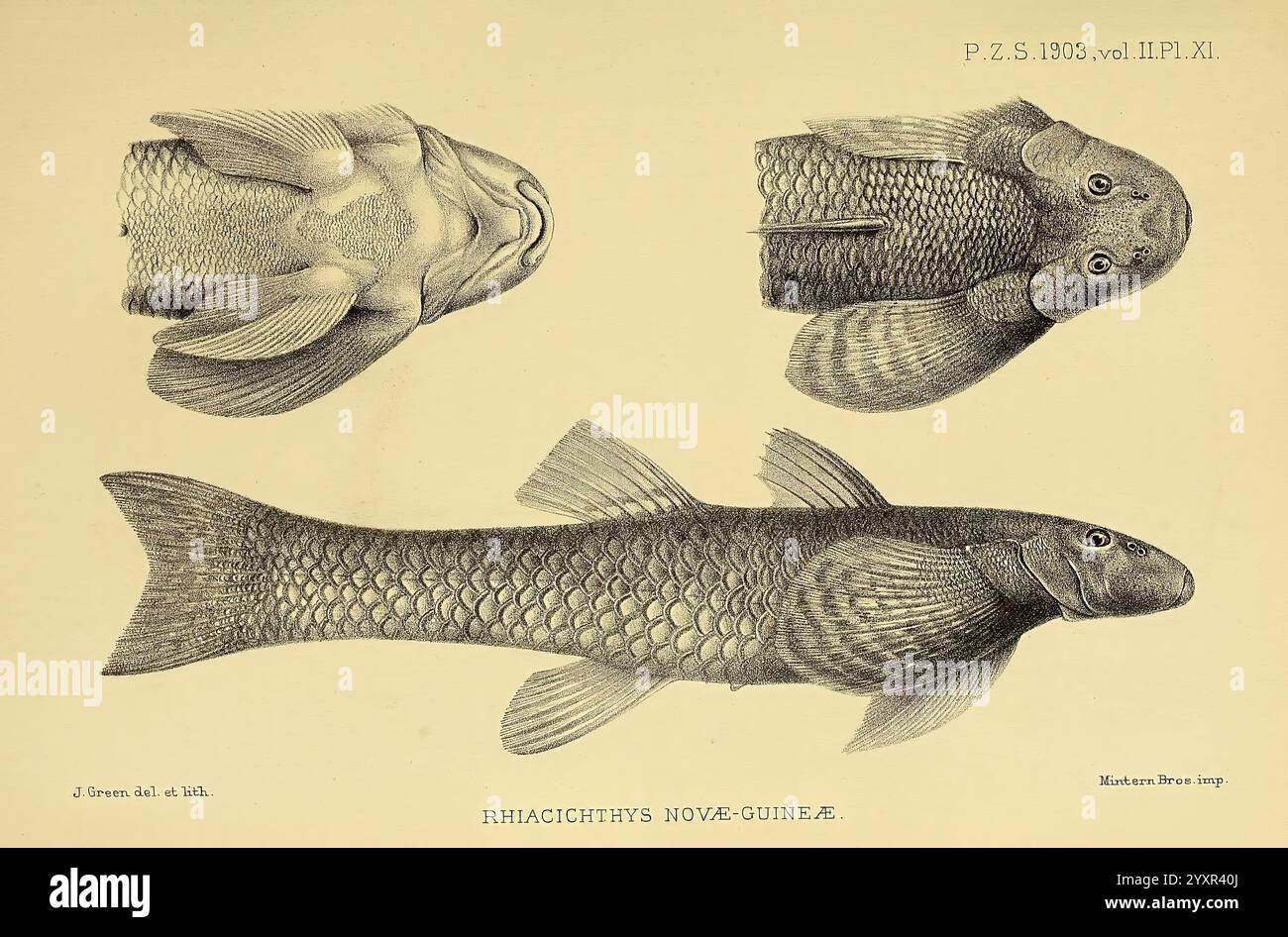 Lower portion captures hi-res stock photography and images - Alamy