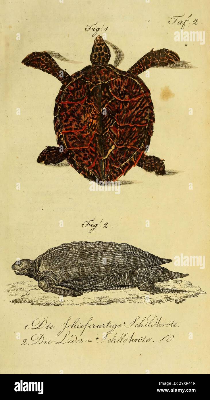 Descriptive labels indicate hi-res stock photography and images - Alamy