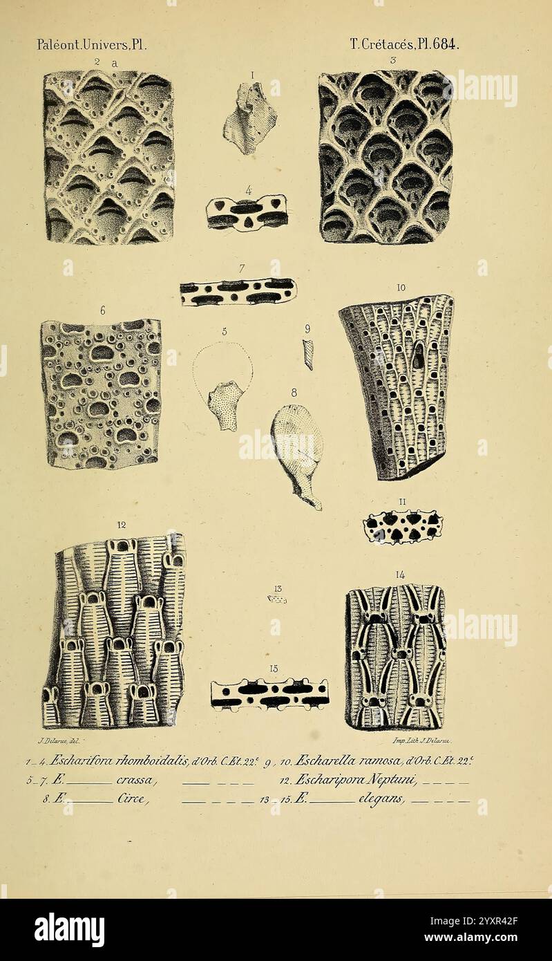 Specific geological classifications hi-res stock photography and images - Alamy