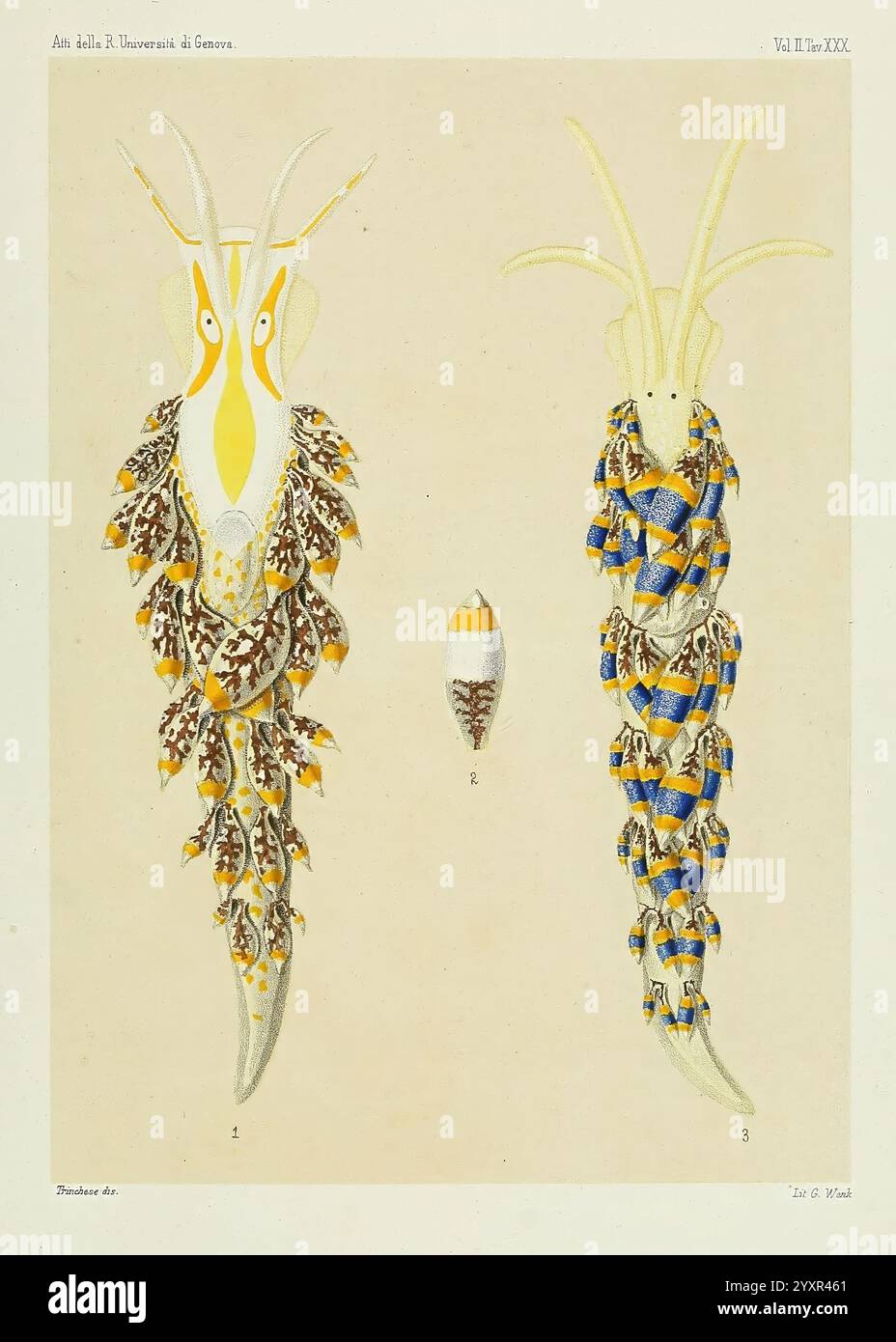 Larger creature features hi-res stock photography and images - Alamy