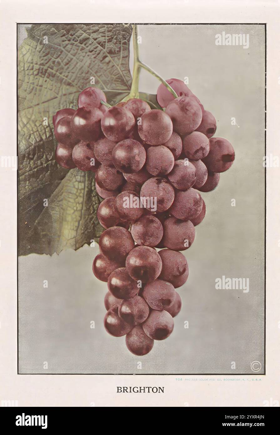 Moisture hint hi-res stock photography and images - Alamy