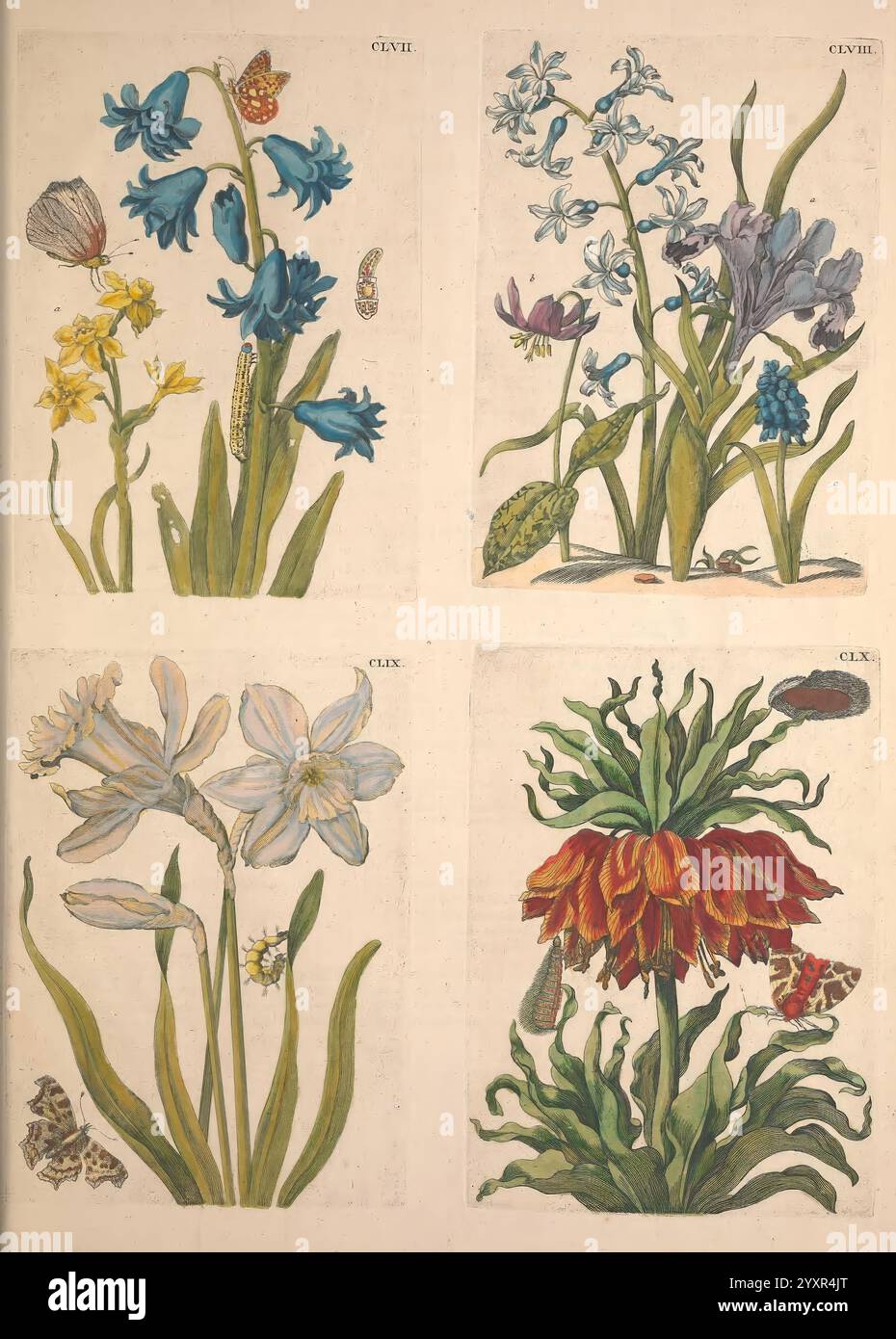 Bottom right quadrant presents hi-res stock photography and images - Alamy