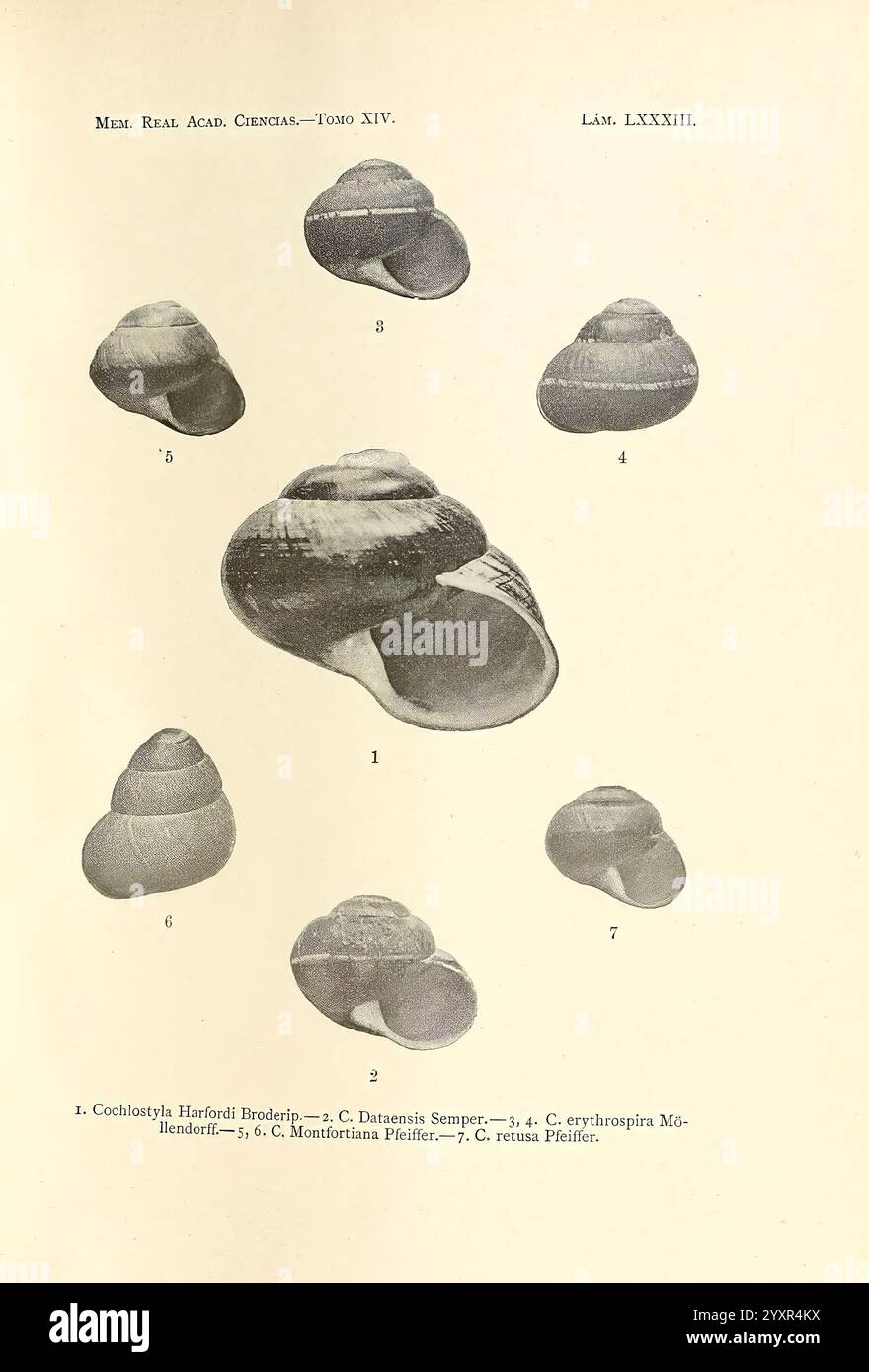 Ciencias físicas hi-res stock photography and images - Alamy