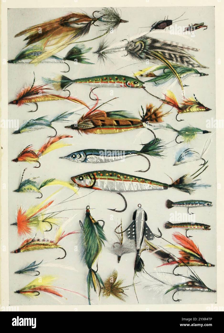 Different baitfish hi-res stock photography and images - Alamy