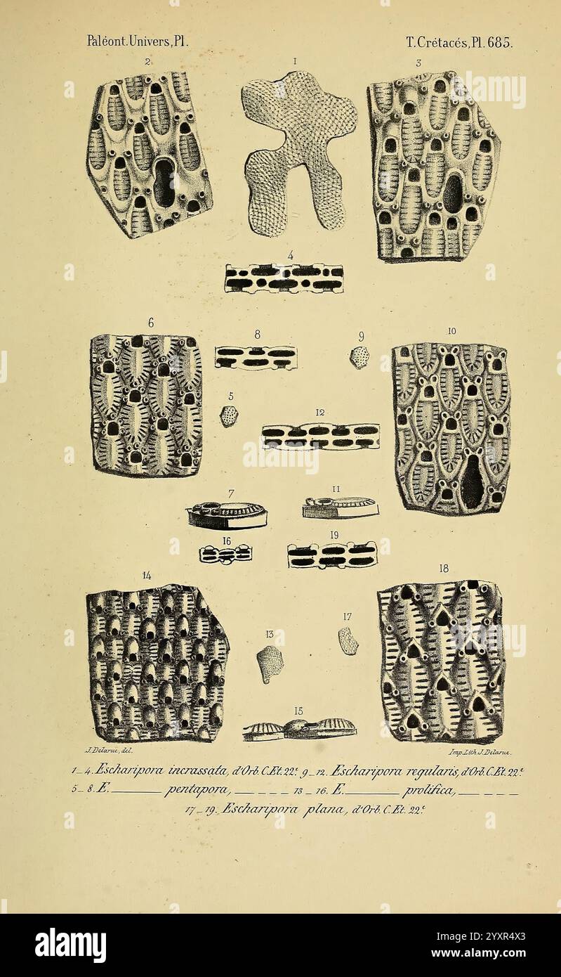 Visual study highlights advancements hi-res stock photography and ...