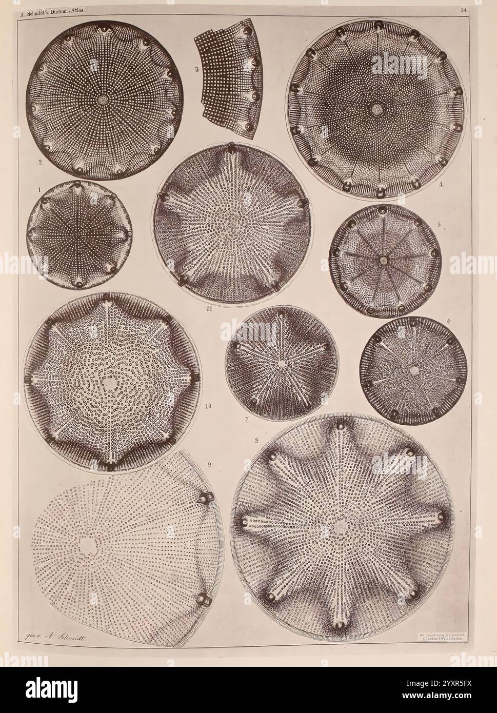 Exhibit radial symmetry hi-res stock photography and images - Alamy