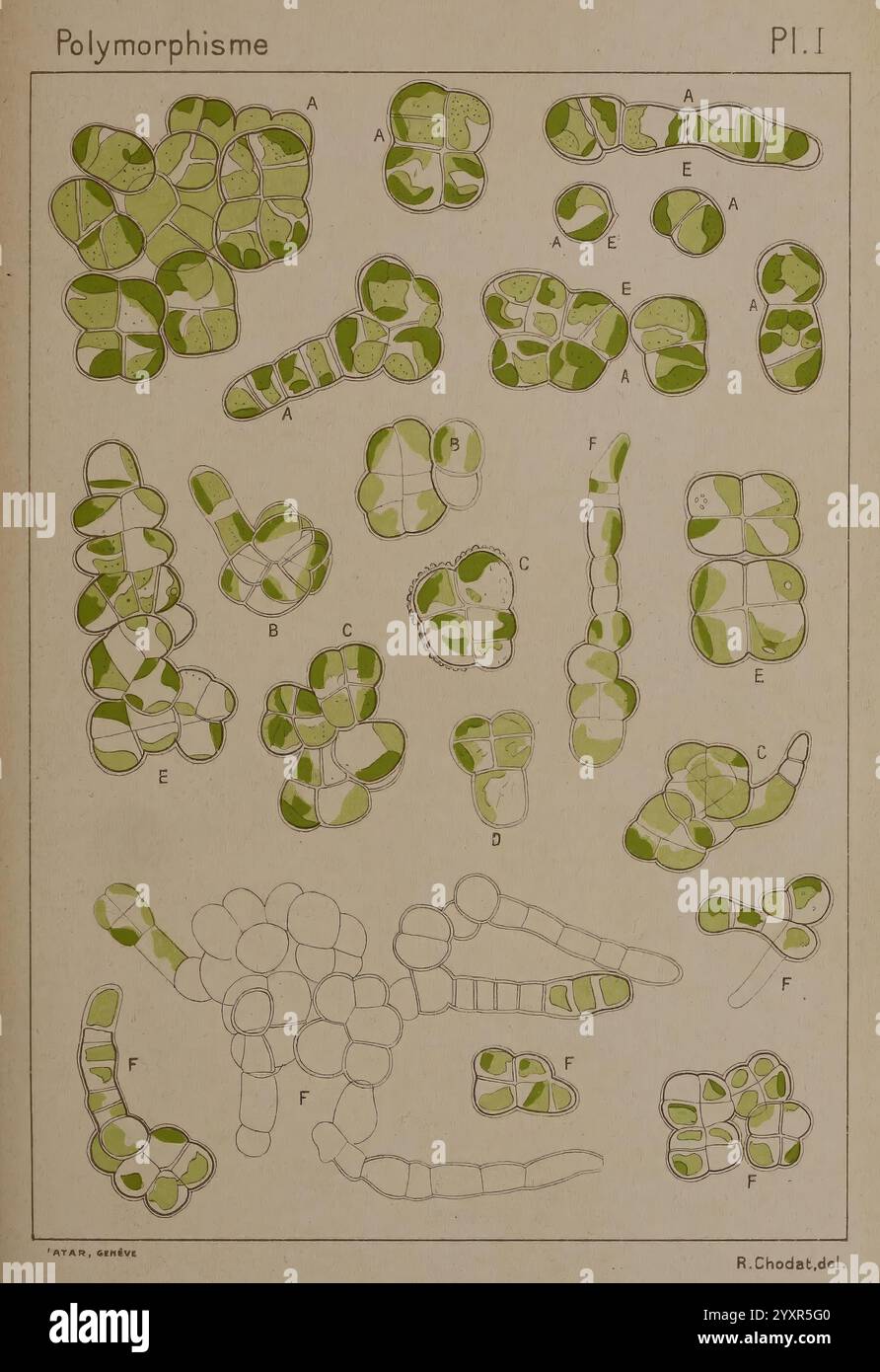 Understanding structural differences hi-res stock photography and ...