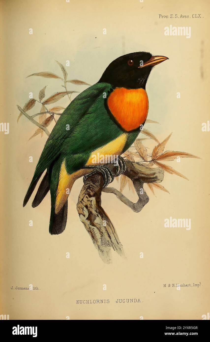 Proceedings of the Zoological Society of London, London, Academic Press ...