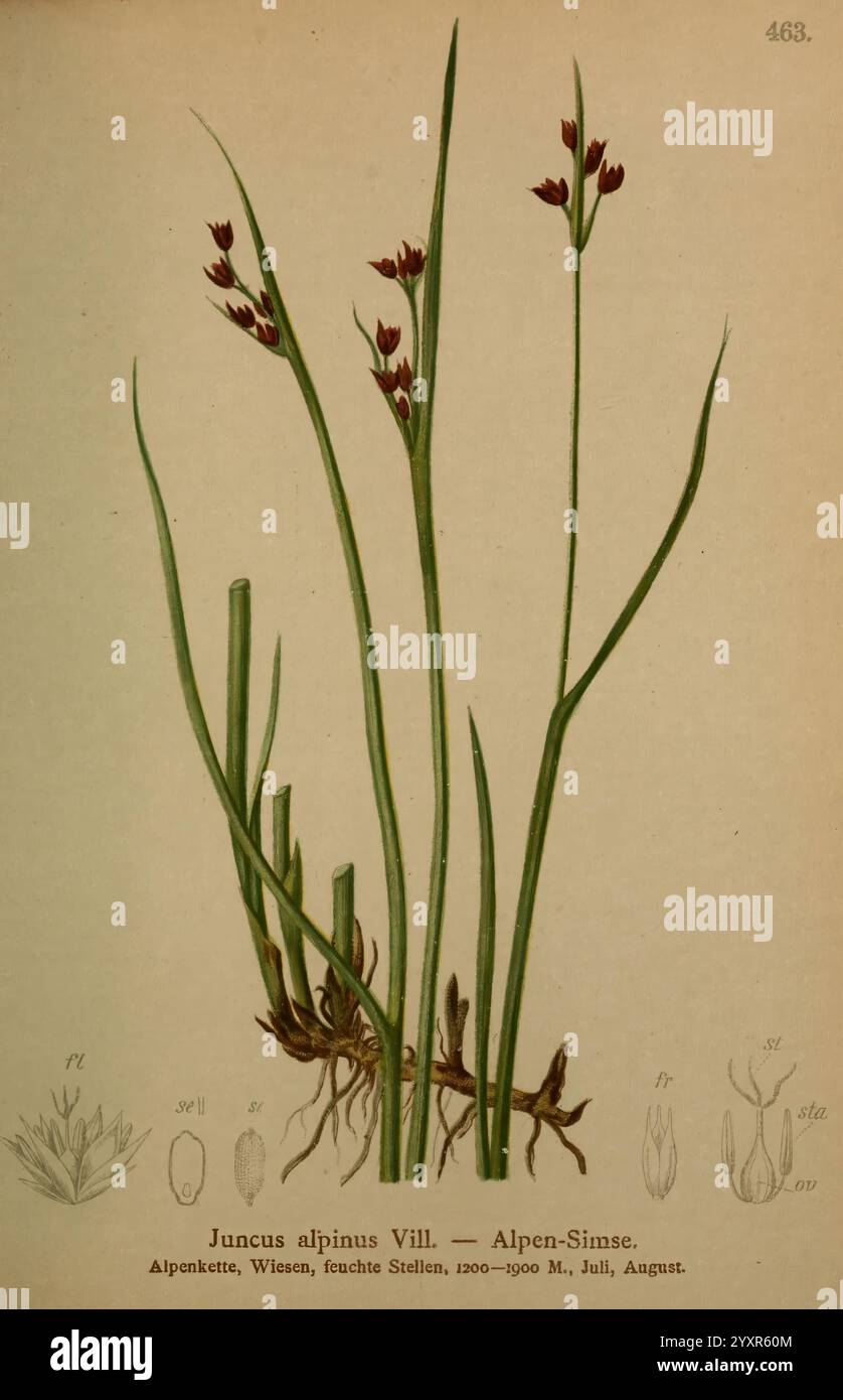 Include labeled sketches hi-res stock photography and images - Alamy