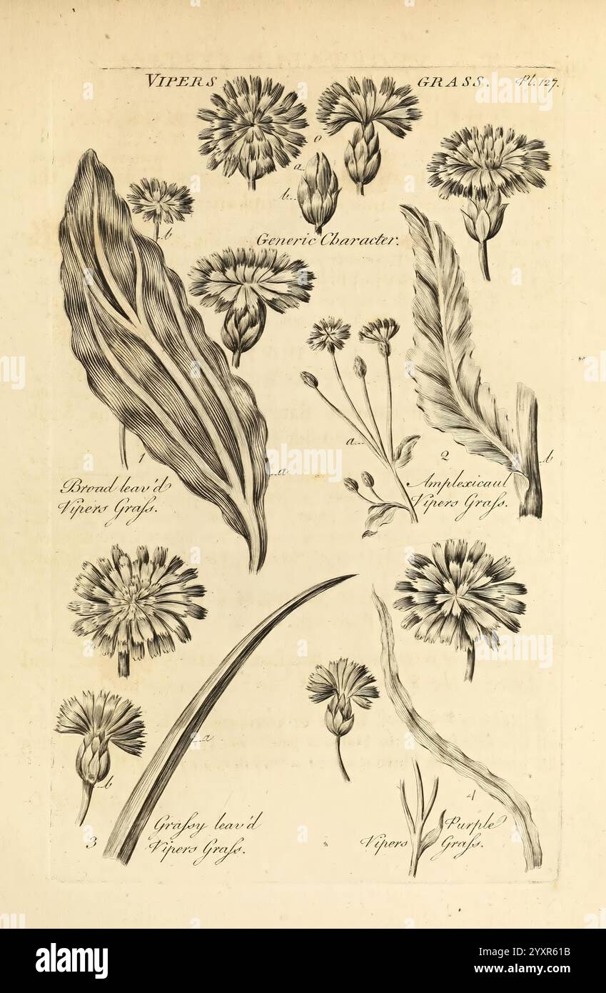 Composition showcases detailed renderings hi-res stock photography and ...