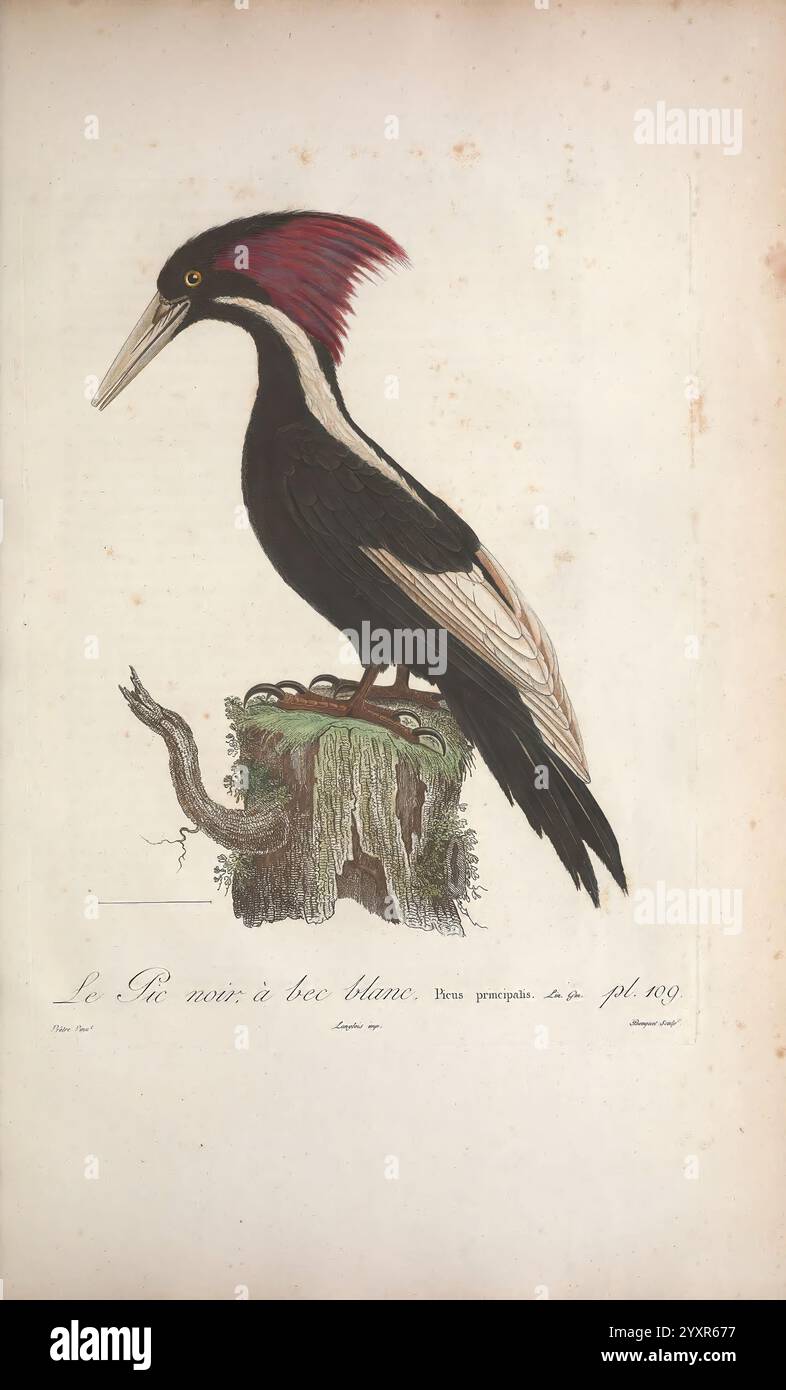 Faint depiction hi-res stock photography and images - Alamy