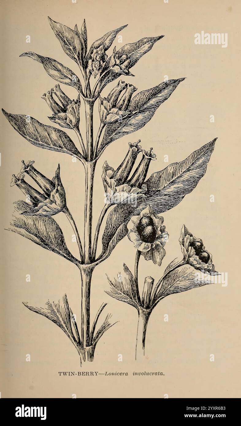 Prominent tubular shape hi-res stock photography and images - Alamy