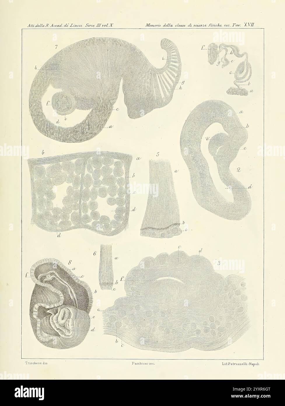 Top section displays spiral hi-res stock photography and images - Alamy