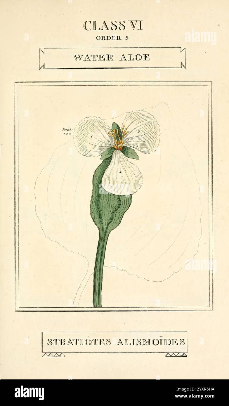 Detailed label identifies hi-res stock photography and images - Alamy