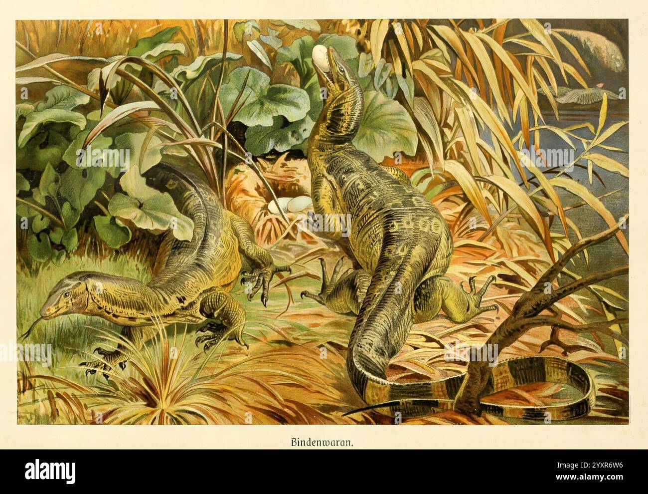 Dynamic scene depicts hi-res stock photography and images - Alamy
