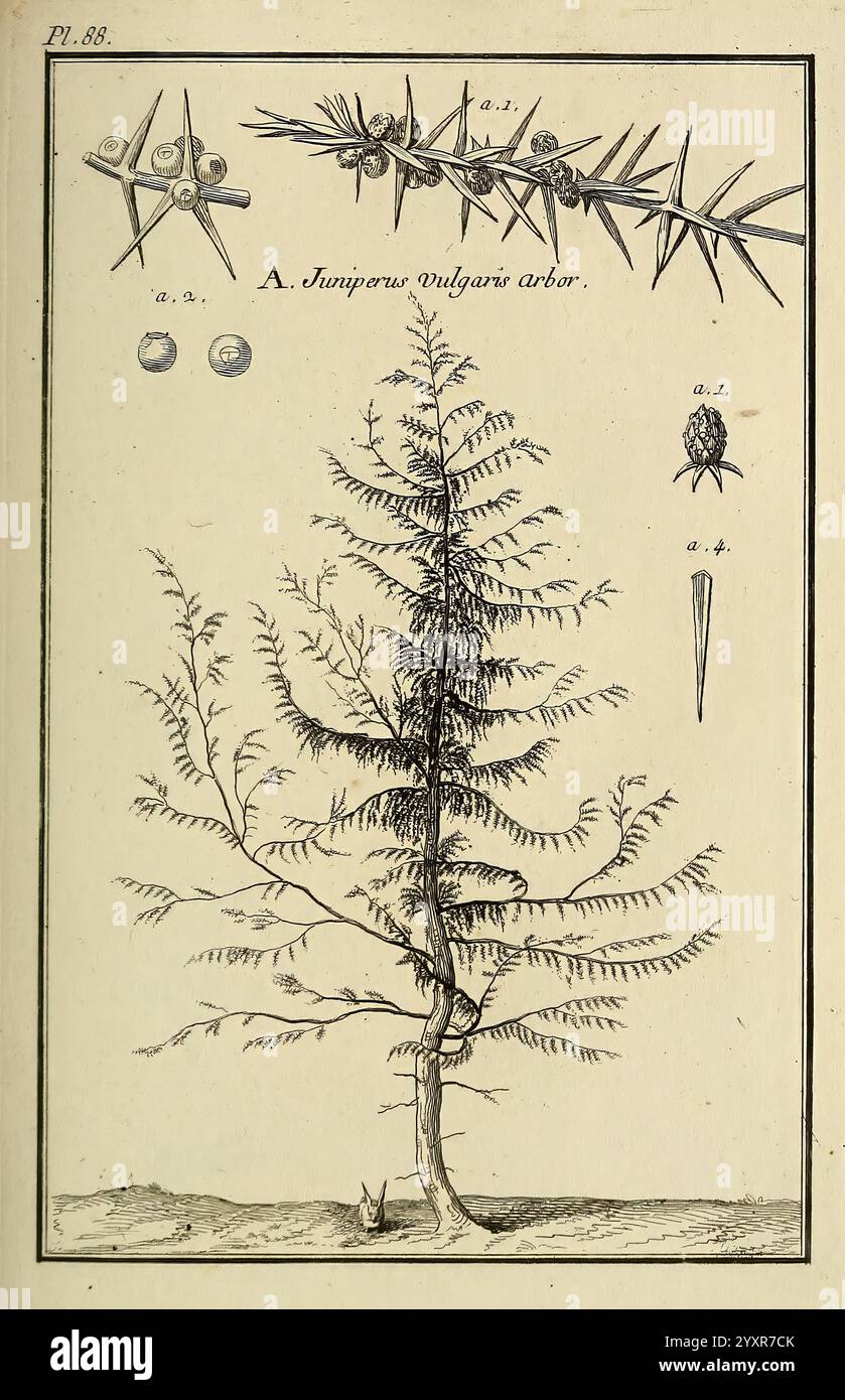 Les figures des plantes et animaux d'usage en medicine, Paris, Desprez ...