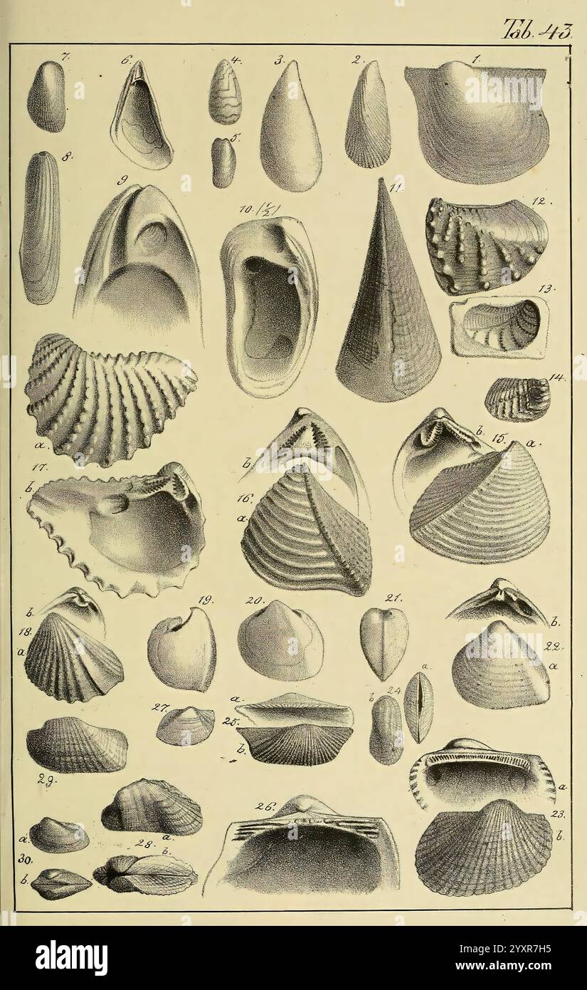 Background features subtle tonal variations hi-res stock photography ...